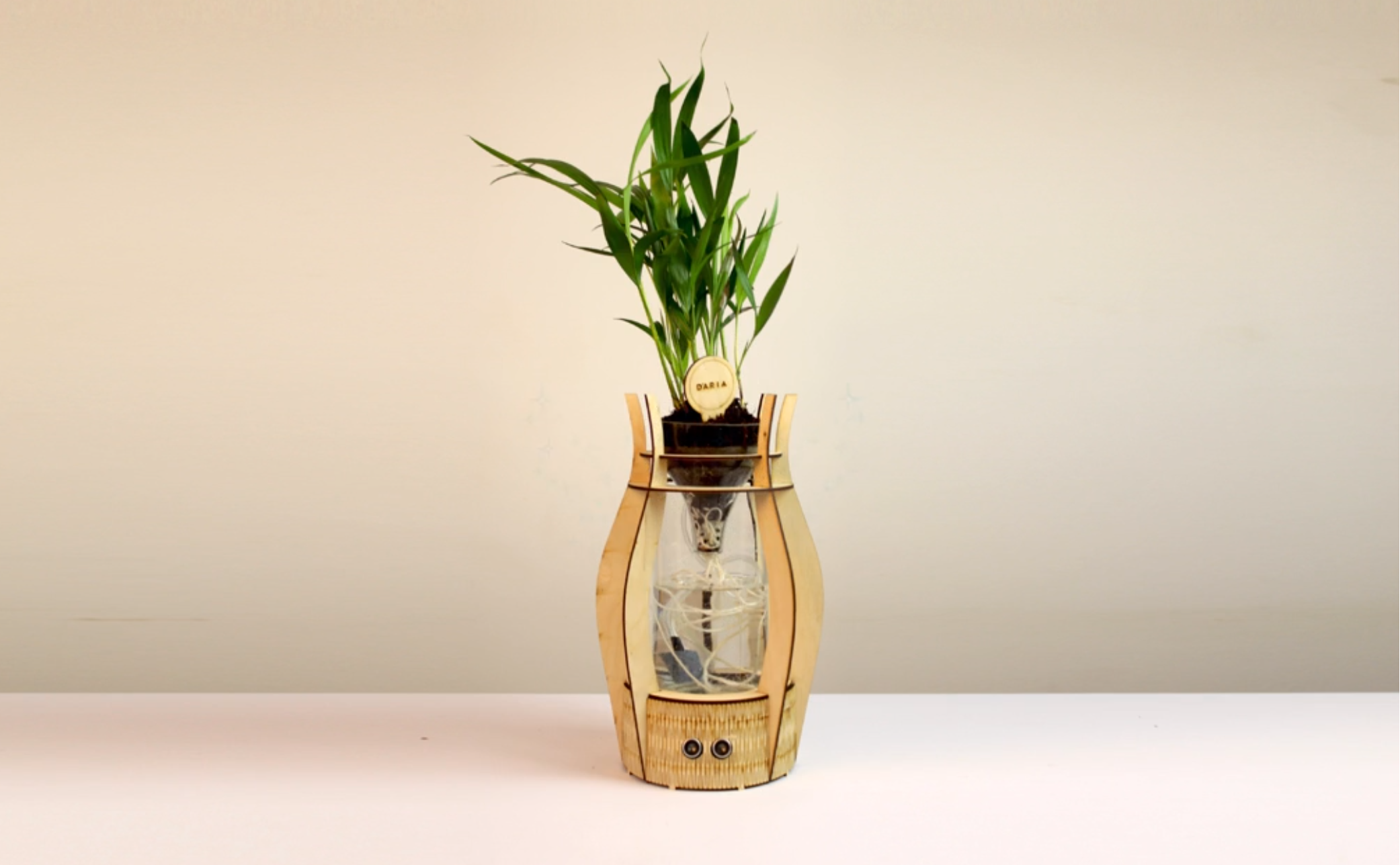 Ellis Bots – Discover my work!